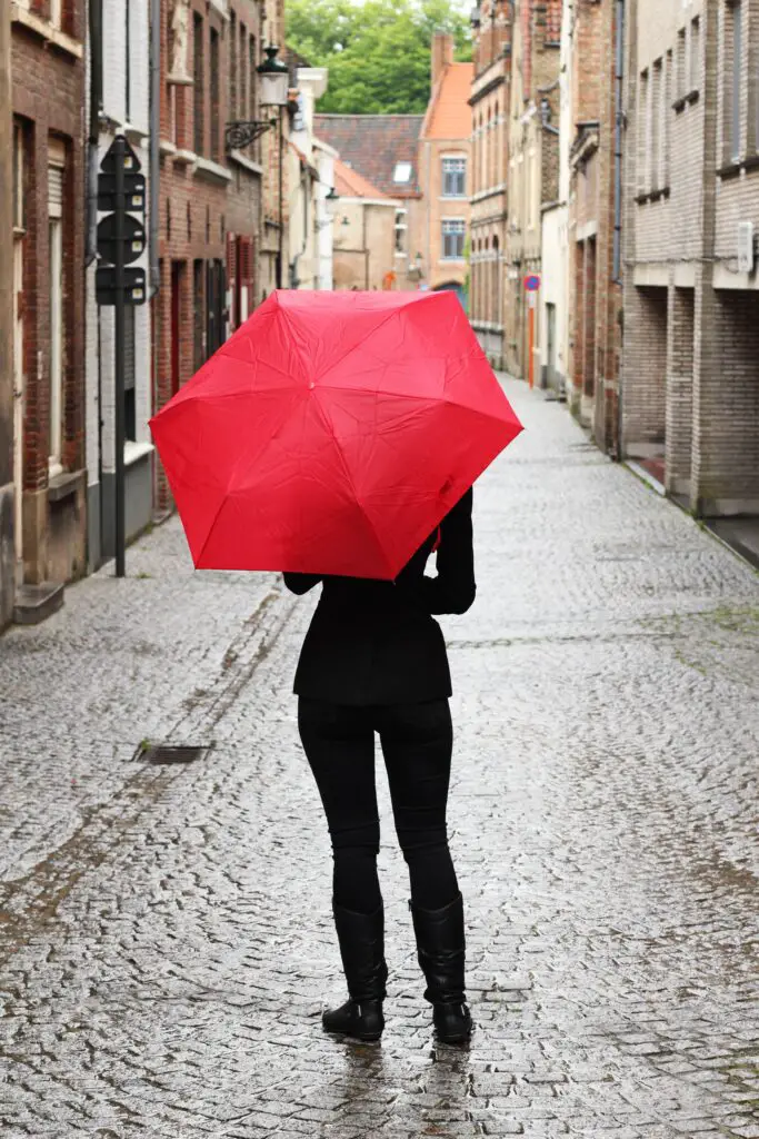 My Son Gave His Late Father’s Umbrella to a Pregnant Stranger, Then 47 ...